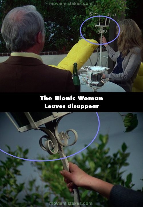 The Bionic Woman (1976) TV mistake picture (ID 368719)