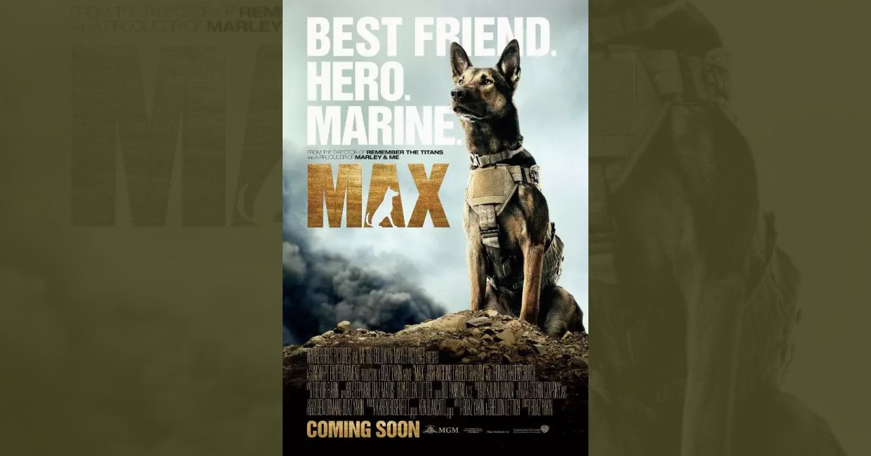 Max (2015) plot summary