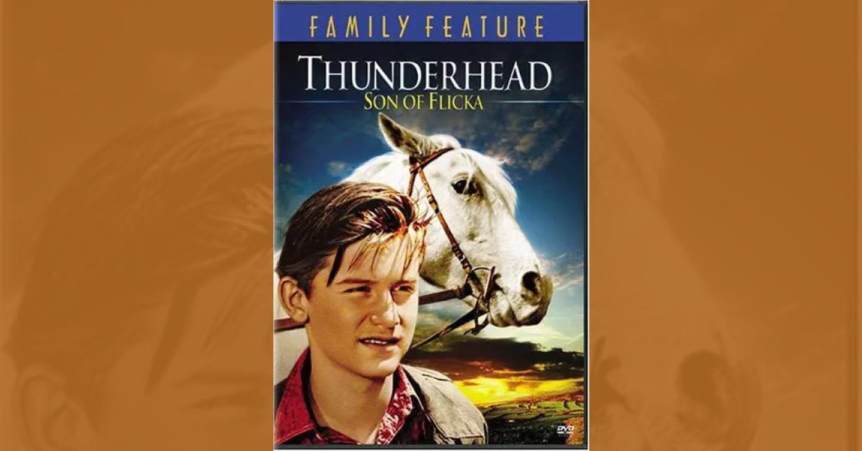 Thunderhead - Son of Flicka (1945) mistakes